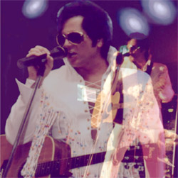 Fanview Ladyluckmusic.com